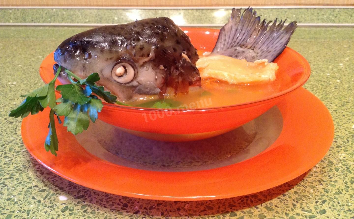 Fish soup with trout head potatoes recipe with photos step by step